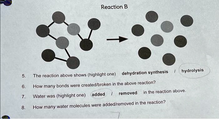 SOLVED: Texts: 5. Reaction B: dehydration synthesis The reaction above ...