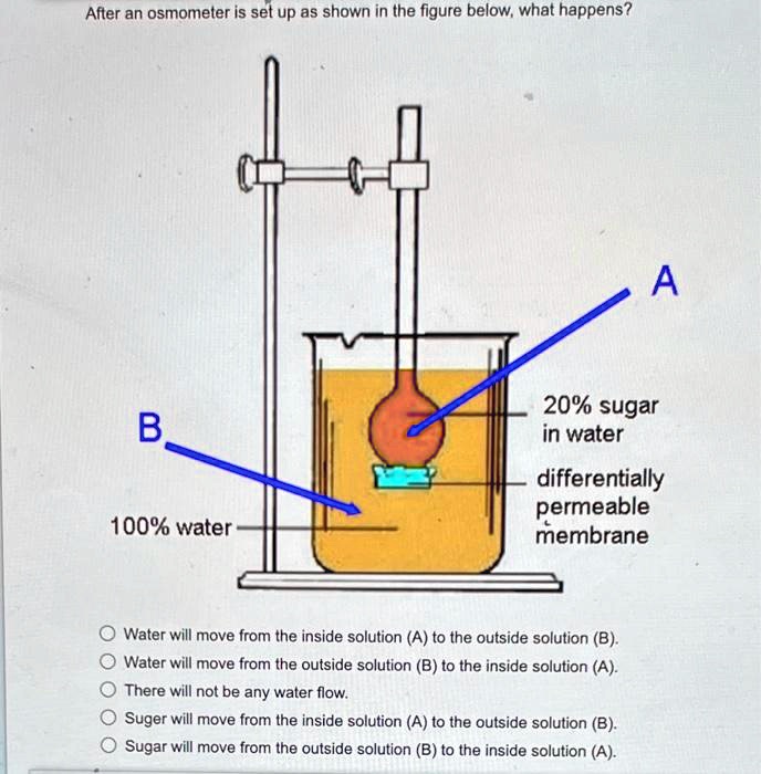 After an osmometer is set up as shown in the figure below, what happens ...