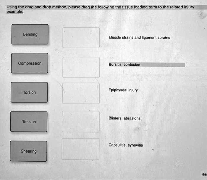 SOLVED: Using the drag and drop method, please drag the following ...
