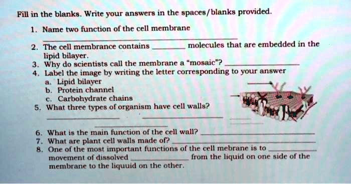 SOLVED: Fill in the blanks Write your answers in the spaces blanks ...
