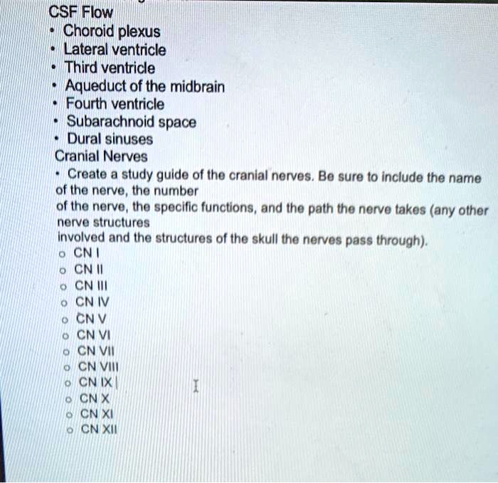 CSF Flow • Choroid plexus • Lateral ventricle • Third...
