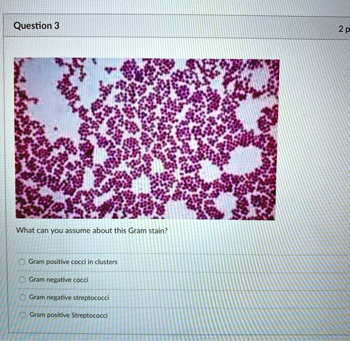 SOLVED: Question 3 What can you assume about this Gram stain? Gram ...