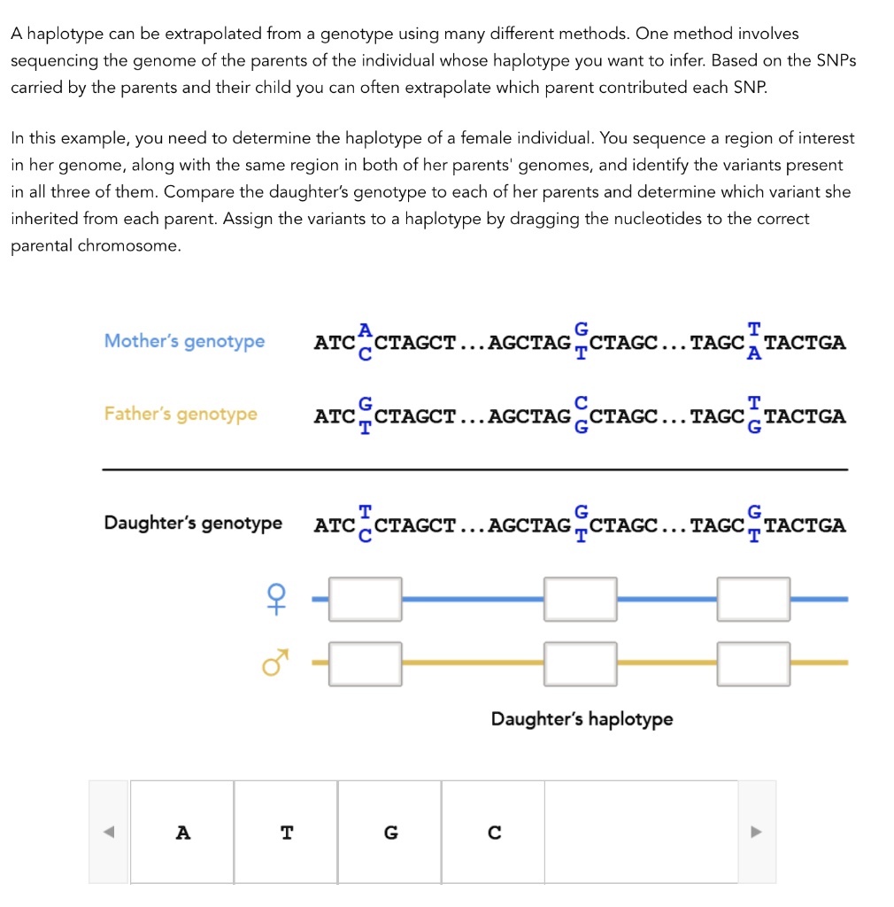 haplotype can be extrapolated from genotype using many different ...