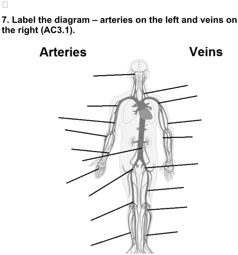 7. Label the diagram – arteries on the left and veins on the right (AC3.1). Arteries Veins