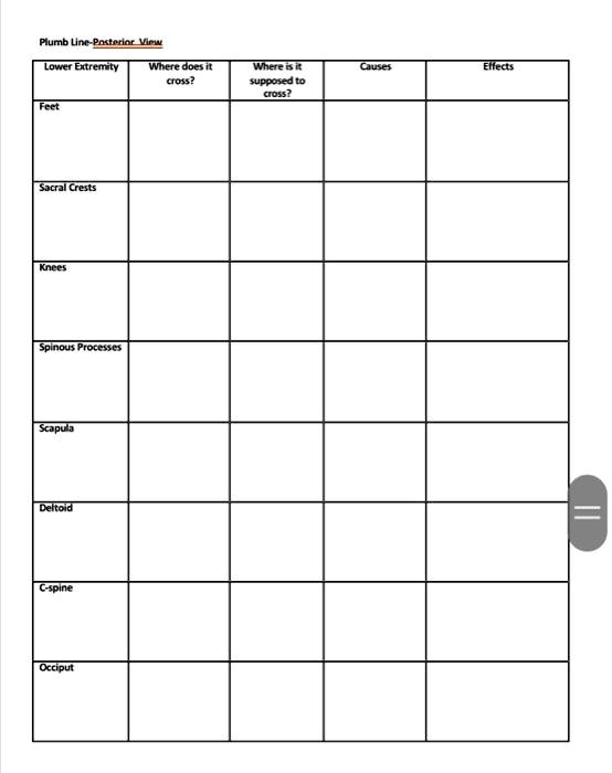 Plumb Line-Posterior View Lower Extremity Feet Sacral Crests Knees ...