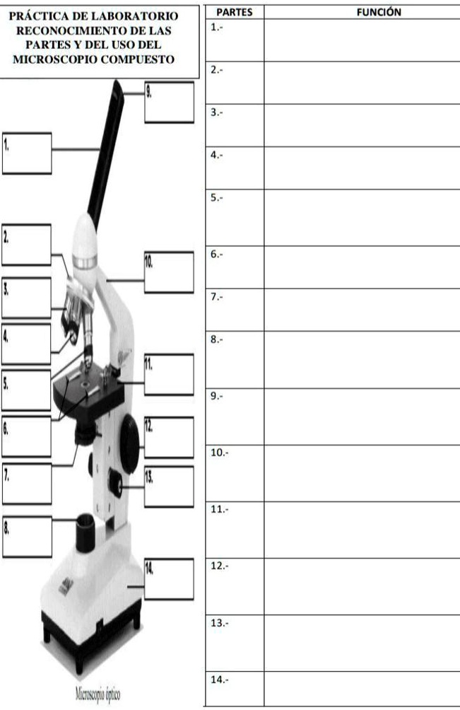SOLVED: es de quimica pliss PRACTICA DE LABORATORIO RECONOCIMIENTO DE ...