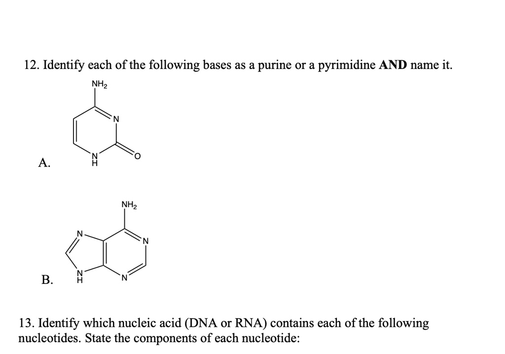 VIDEO solution: 12. Identify each of the following bases as a purine or ...