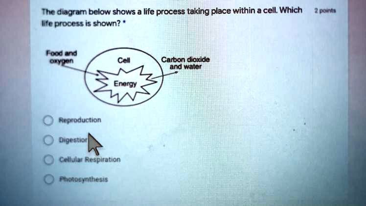 The diagram below shows a life process taking place within a cell ...