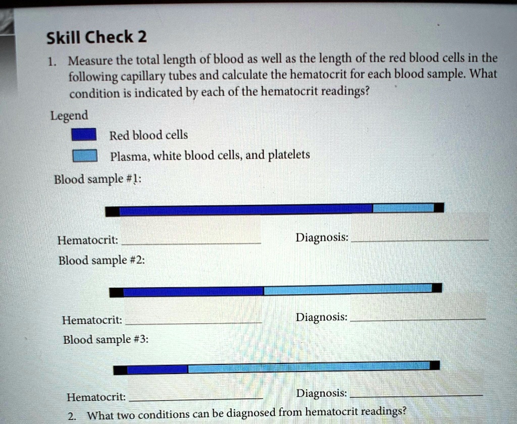 Skill Check 2 1. Measure the total length of blood as well as the length of the red blood cells ...