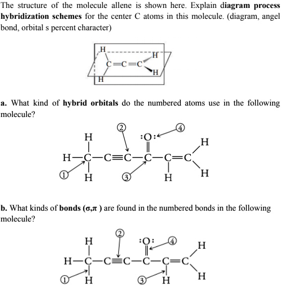 The structure of the molecule allene is shown here . Explain diagram ...
