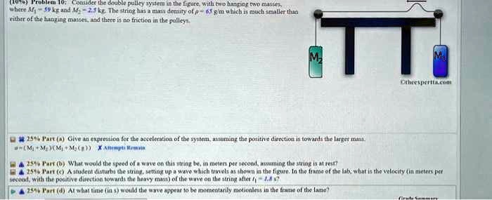 consider the double pulley system in the figure with two hanging two ...