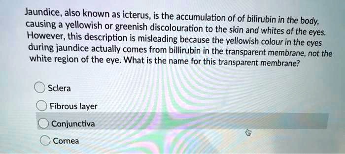Jaundice, also known as icterus, is the accumulation of of bilirubin in ...