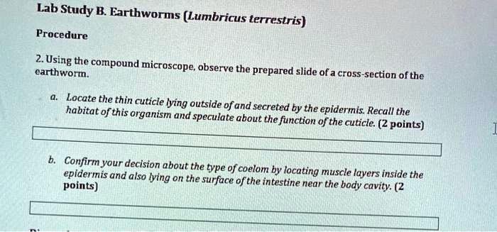 Lab Study B. Earthworms (Lumbricus terrestris) Procedure 2. Using the ...