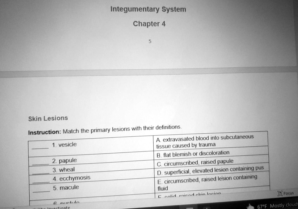 SOLVED: Chapter 4 Integumentary System Chapter 4 5 Skin Lesions ...