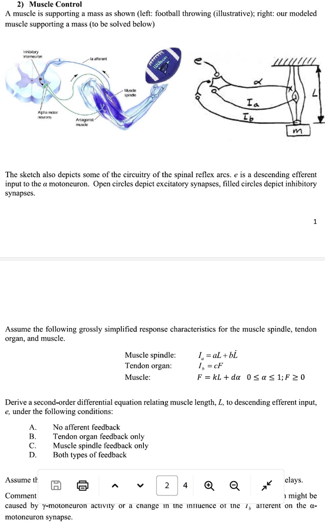 2 muscle control a muscle is supporting a mass as shown left football ...