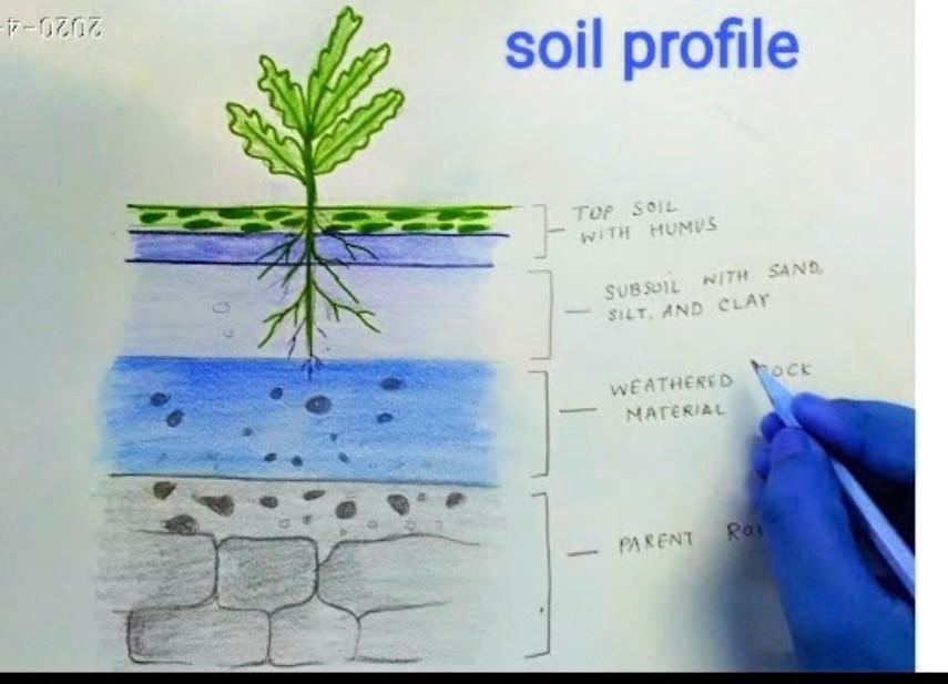 SOLVED: 'explain different types of soil layers' SOLVED: 'explain different types of soil layers'