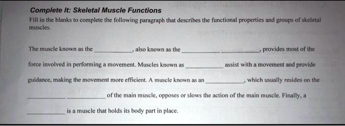 SOLVED: Complete It: Skeletal Muscle Functions Fill in the blanks to ...