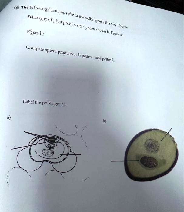 66) The following questions refer to the pollen grains illustrated ...