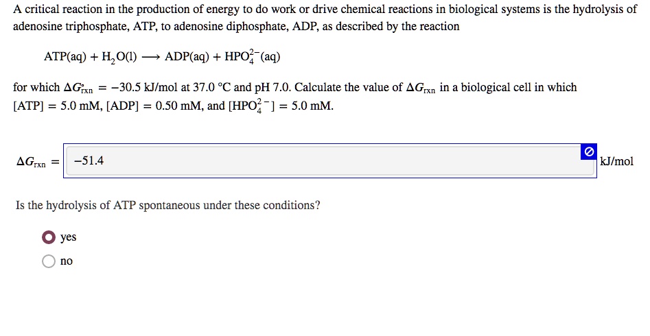 SOLVED:A critical reaction in the production of energy to do work Or ...