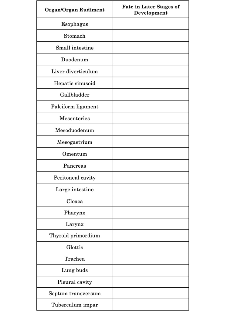 VIDEO solution: Fate in Later Stages of Development Organ/Organ ...