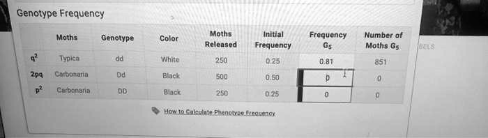 Genotype Frequency Motha Genotype Color Moths Released Initial ...