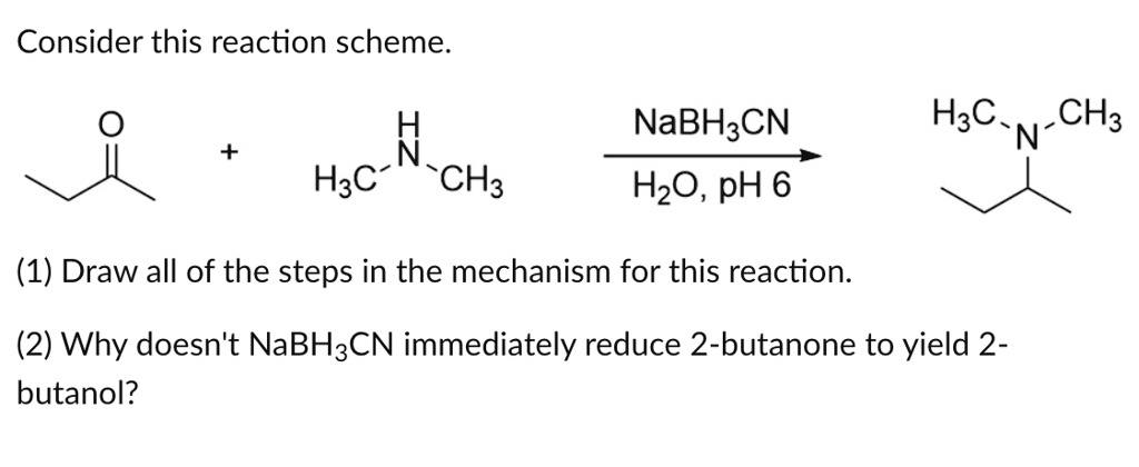 Consider this reaction scheme: NaBH3CN, H2O, pH 6 H3C-N-CH3 H3C-CH3 (1 ...