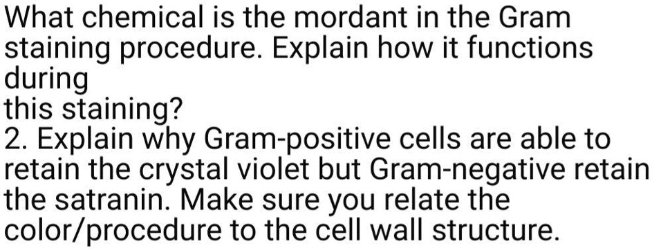 What chemical is the mordant in the Gram staining procedure. Explain ...