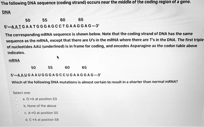 Solved The Following Dna Sequence Coding Strand Occurs Near The Middle Of The Coding Region