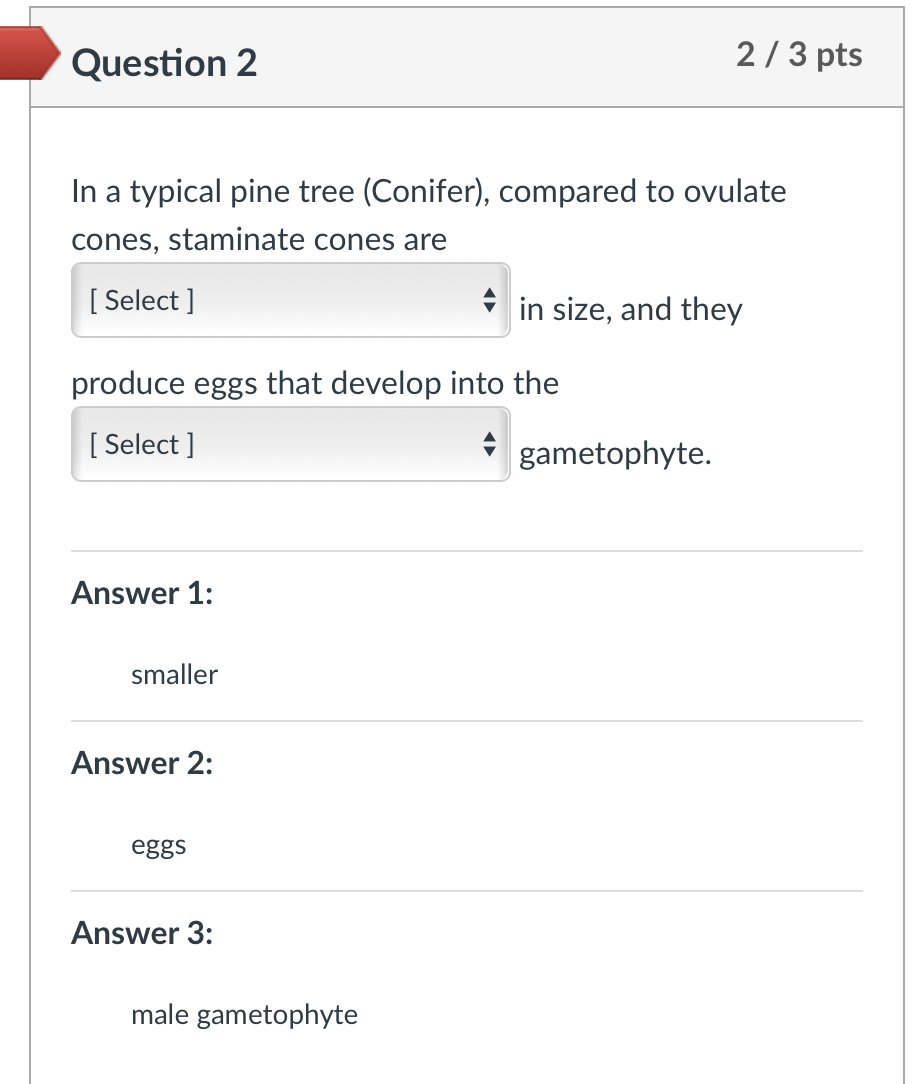Question 2 2 / 3 pts In a typical pine tree (Conifer), compared to ...