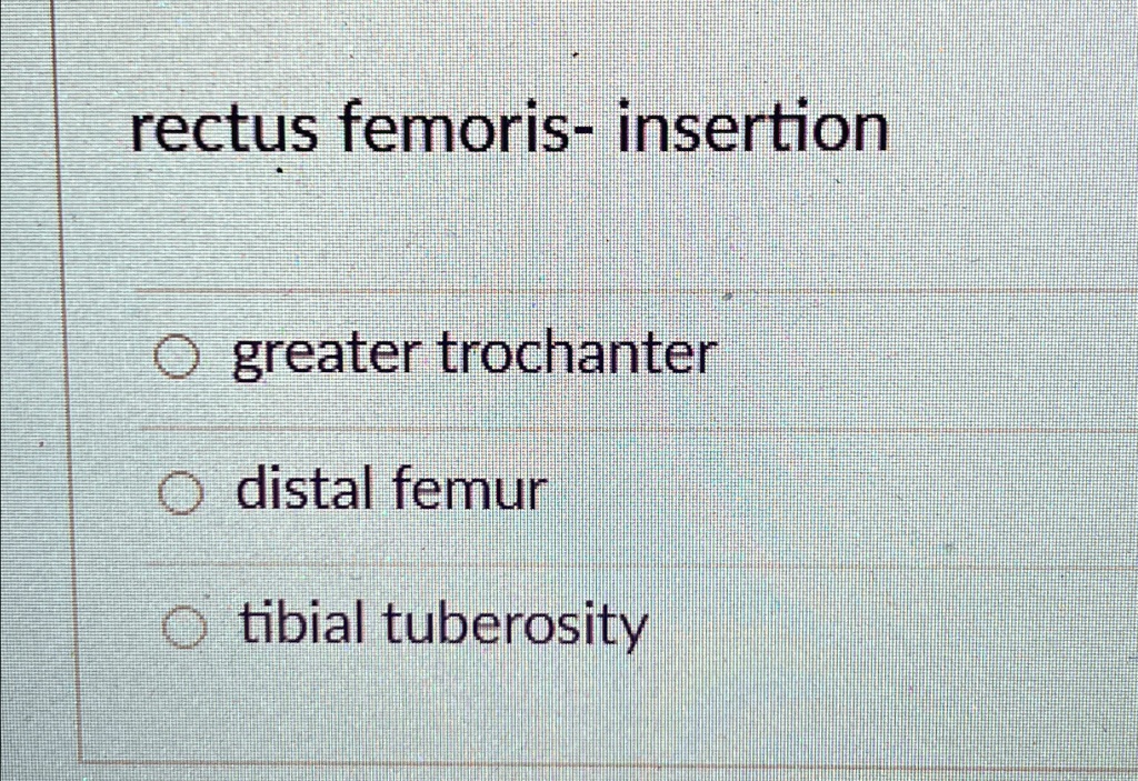 Rectus femoris - insertion Greater trochanter Distal femur Tibial ...