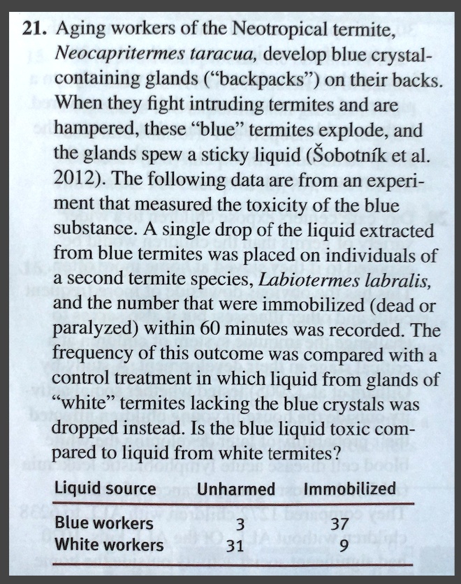 21 aging workers of the neotropical termite neocapritermes taracua ...