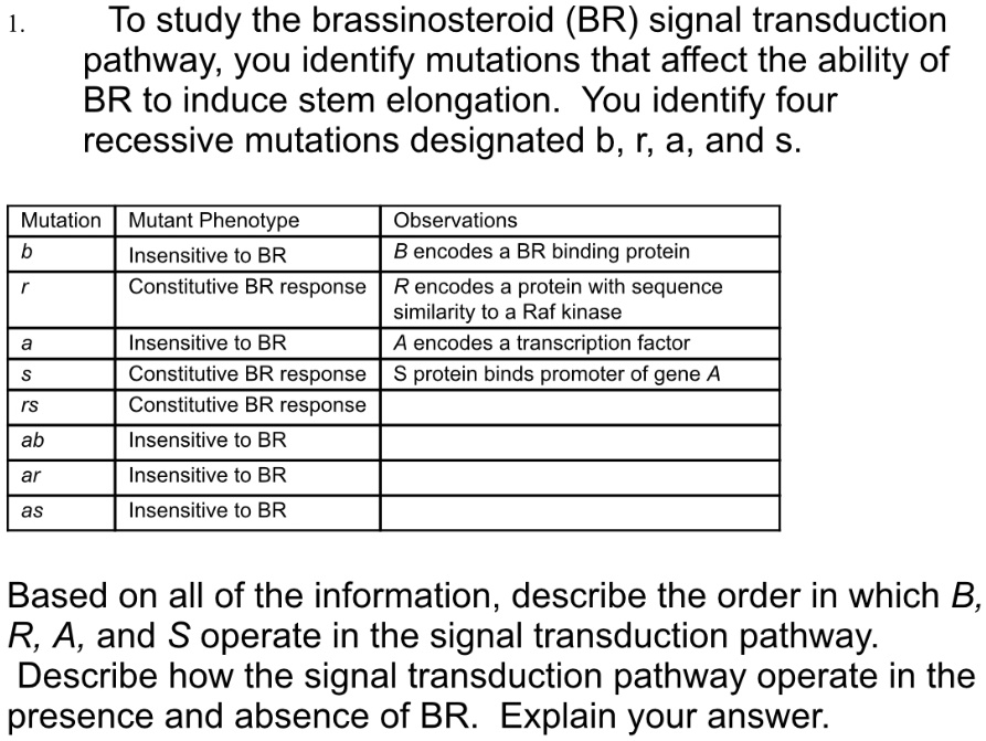 to study the brassinosteroid br signal transduction pathway you ...
