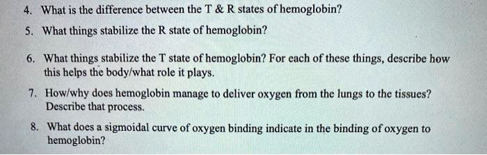 4. What is the difference between the T R states of hemoglobin? 5. What ...