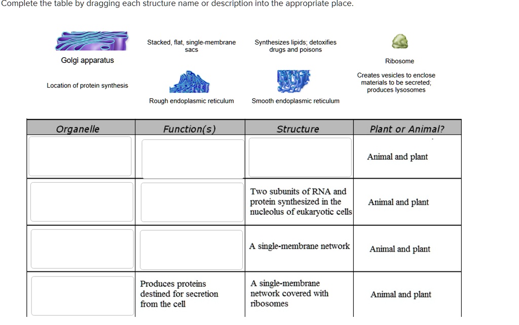 [GET ANSWER] complete the table by dragging each structure name or ...