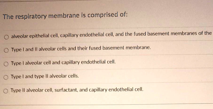 SOLVED: The respiratory membrane is comprised of: - Alveolar epithelial ...