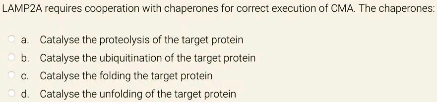 SOLVED: LAMP2A requires cooperation with chaperones for the correct ...