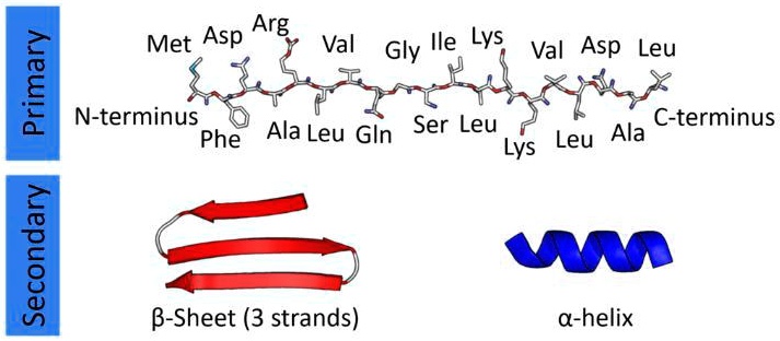 SOLVED: Using the diagram that explains how proteins are formed, check ...