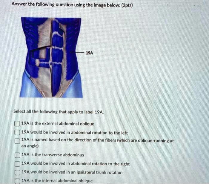 [GET ANSWER] Answer the following question using the image below: (2pts ...
