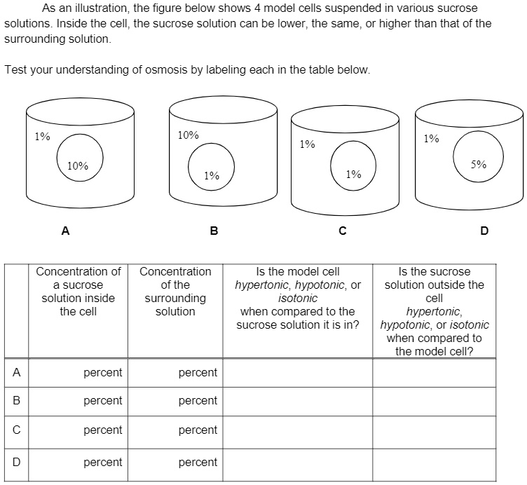 As an illustration, the figure below shows 4 model cells suspended in ...