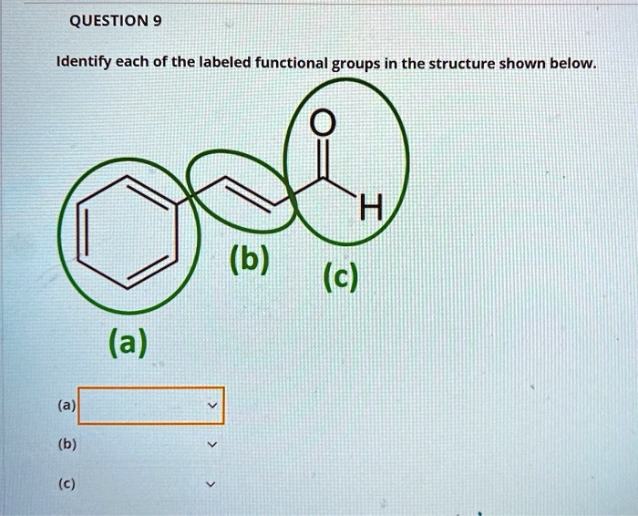 SOLVED: QUESTION 9 Identify each of the labeled functional groups in the structure shown below ...