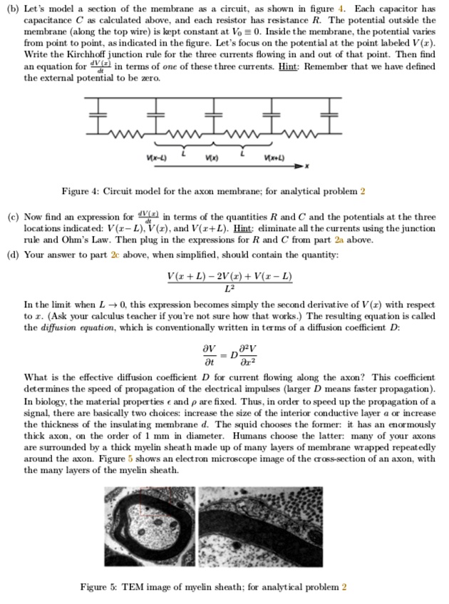 SOLVED: Let's model a section of the membrane as a circuit, as shown in ...