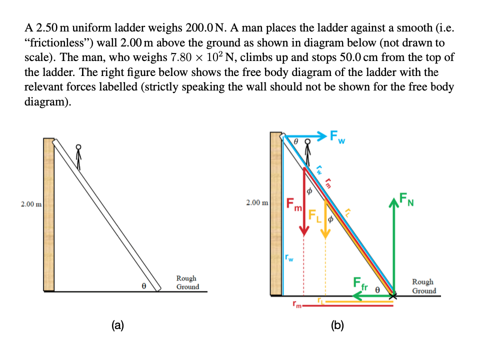 a 250 mathrmm uniform ladder weighs 2000 mathrmn a man places the ...