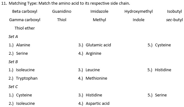 matching typez match the amino acid to its respective side chain beta ...