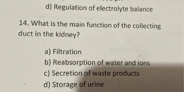 SOLVED: d) Regulation of electrolyte balance 14. What is the main ...