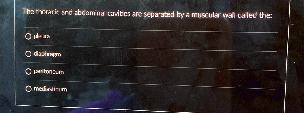 The thoracic and abdominal cavities are separated by a muscular wall ...