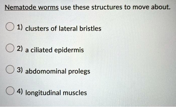 SOLVED: Nematode worms use these structures to move about: 1) clusters ...