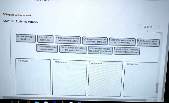SOLVED: Chapter 03 Homework A P Flix Activity: Mitosis 26 of 30 Nuclear envelope breaks up ...