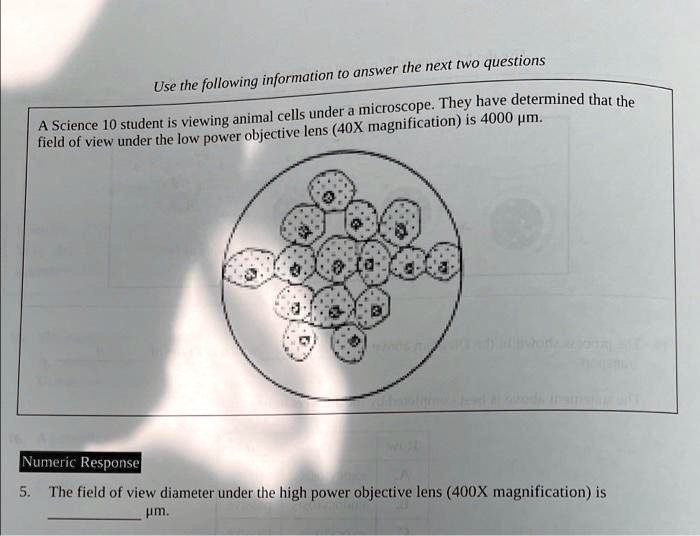 SOLVED: A Science student is viewing animal cells under a microscope. They have determined that ...