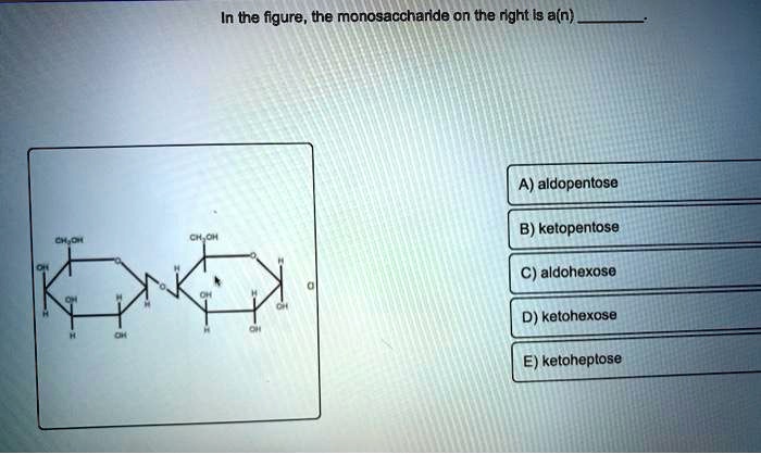In the figure, the monosaccharide on the right is a(n) A) aldopentose B ...