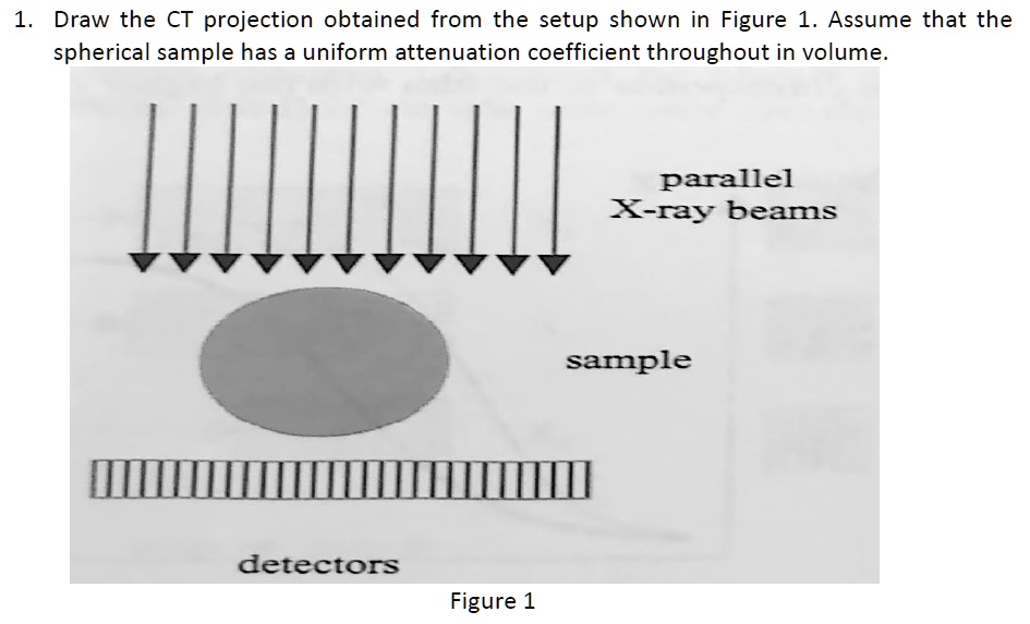 1. Draw the CT projection obtained from the setup shown in Figure 1 ...